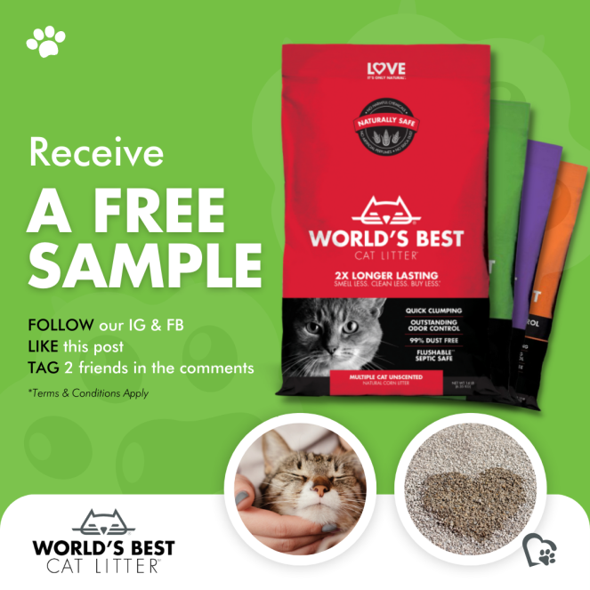 Rein Singapore free cat litter sample made from corn – I Love Freebies