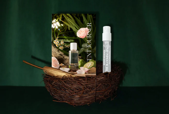 Albion Singapore free brightening and tightening infinesse white ...